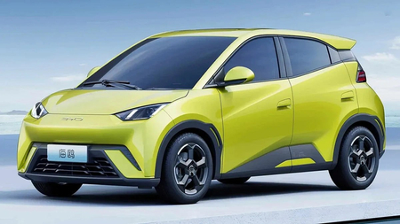 Byd seagul muddali tolovga