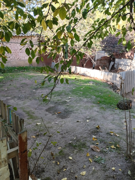 Продается дом с участком