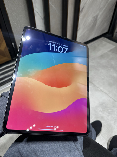 iPad Pro 13inch  M4 256GB e-Sim Идеал