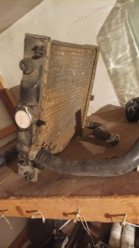 Radiator kareyski