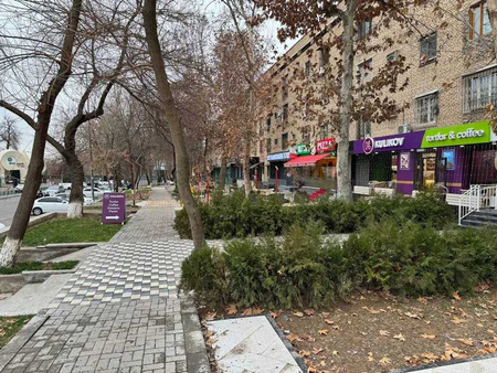 Продается нежилое помещение в центре на Ц1
