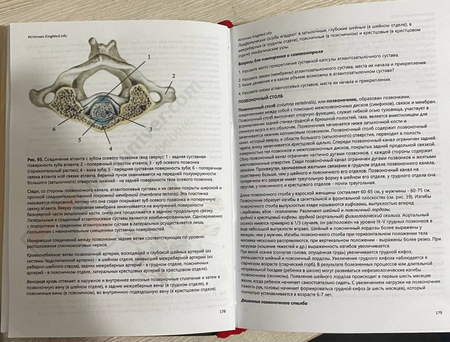 Анатомия человека. Учебник. В 2-х томах том1 Сапир Николенко, Никитюк