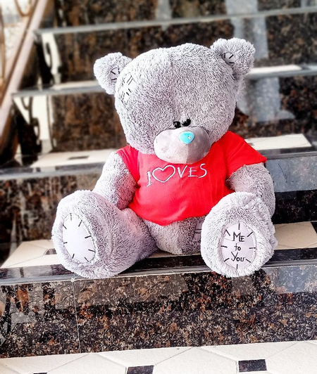 Teddy ayiglarmiz