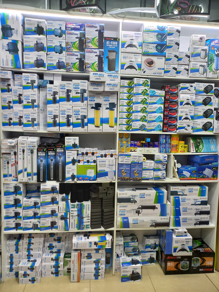 Filtir va abargrivtillar boshlanich narxi 55000 dan