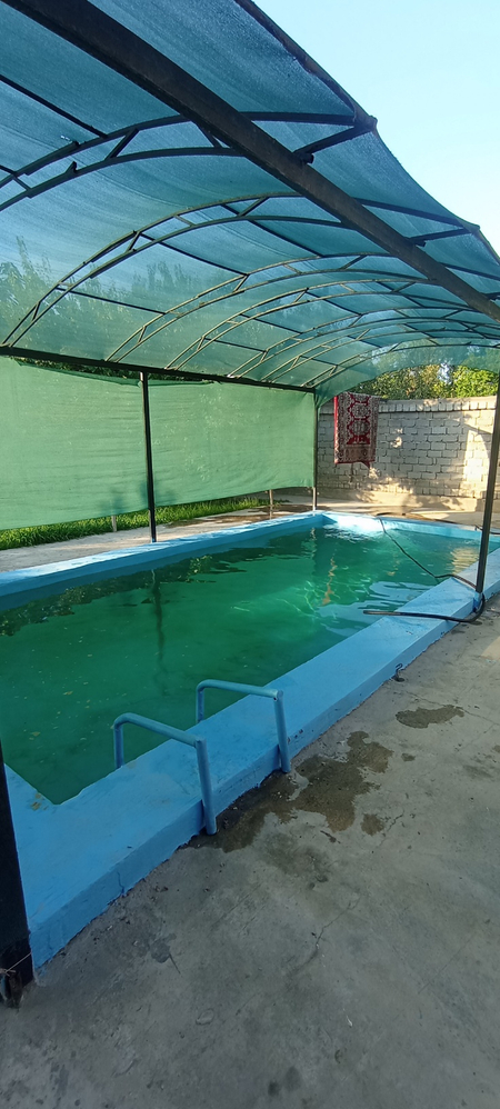 Dacha arenda дача аренда kunlik dacha