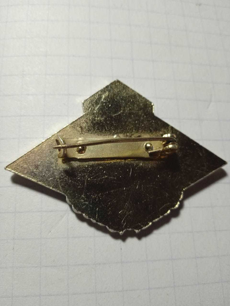 знак участника учений Варшавского договора