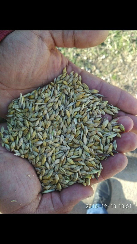 Арпа,ечмен махсулотлари Казахстан продукт прямой вагон !!!