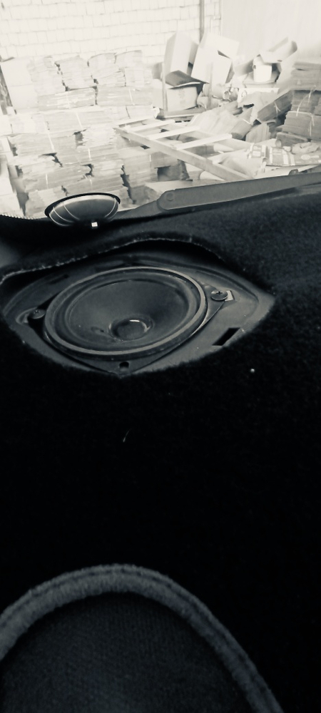 Kalonka Zver Sony 10sm