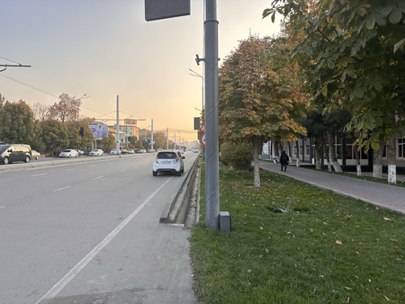 Сдается в аренду
