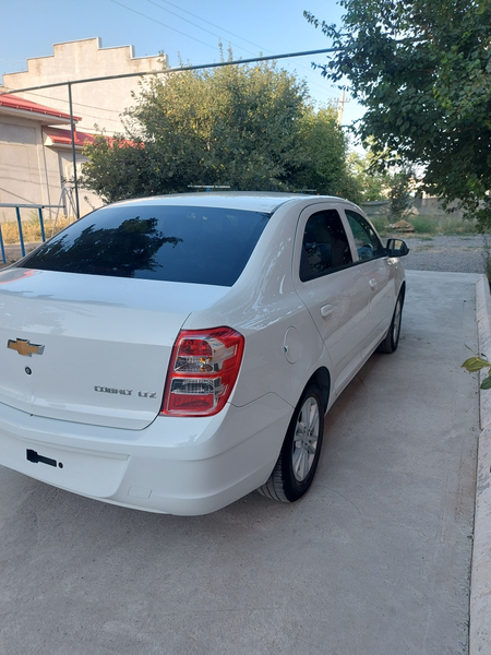 Cobalt 2023/24 pachka