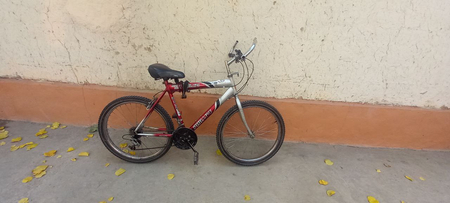 PHILLIPS Velosapedi