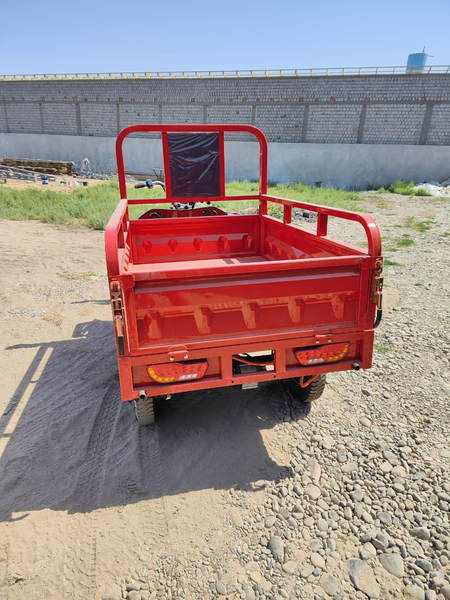 Elekto muravey Jfox 600kg