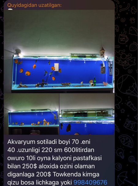 Akvaryum baliq uchun | Аквариум