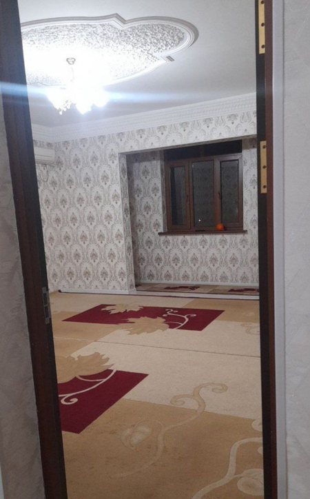 Algaritim qizil sharq toza uy