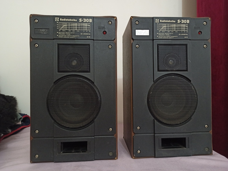 Калонки Радиотехника S30B