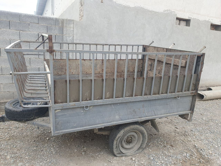Prsep hayvon toshish uchun