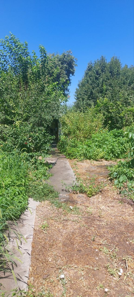 Продается Дача Паркент Новбахор.6соток