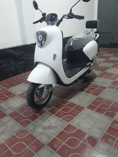Sotiladi arzon Sifatli chaqqon