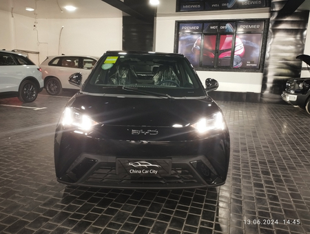Byd seagull full 2024
