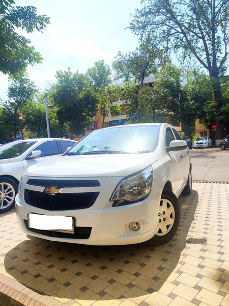 Cobalt LT 2019 IDEAL