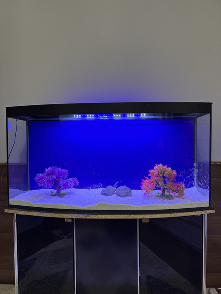 Akvarium sotiladi