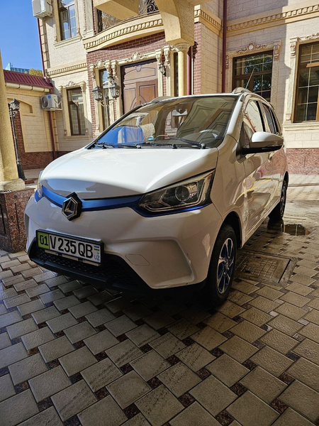 Elektron avto mobil