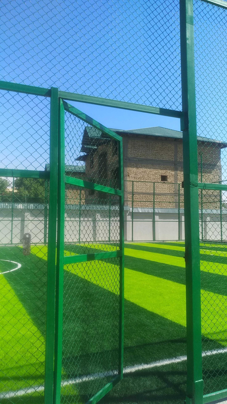 Зелёный сетка Яшил сетка Куш сетка