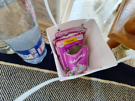 Отдам в хорошие руки котят.
